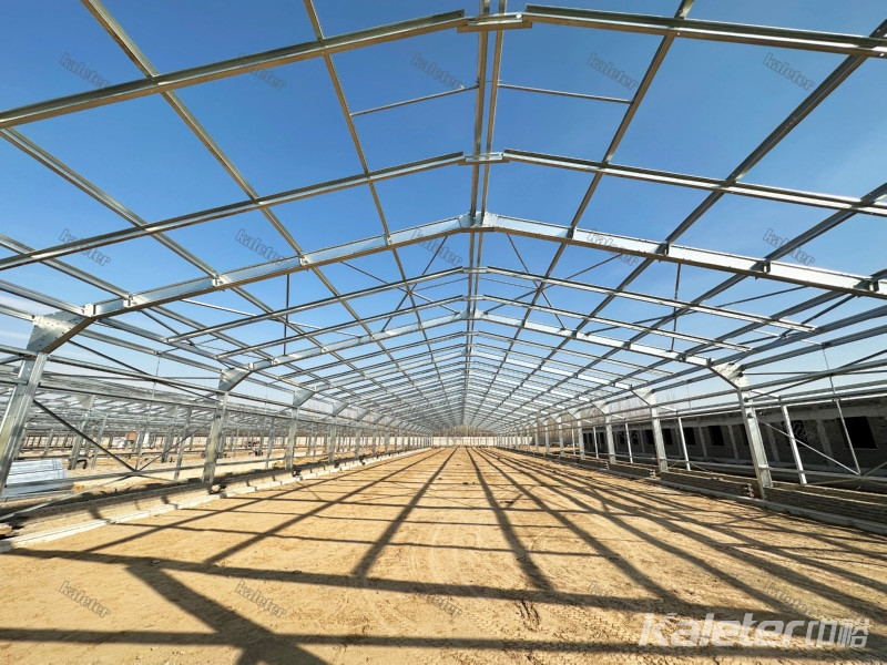 Steel structure of the chicken coop – farmshand.cn